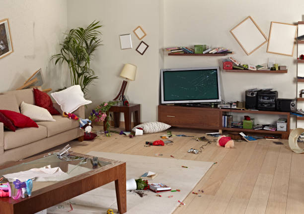 Who Cleans Your House? - Linda K Sienkiewicz